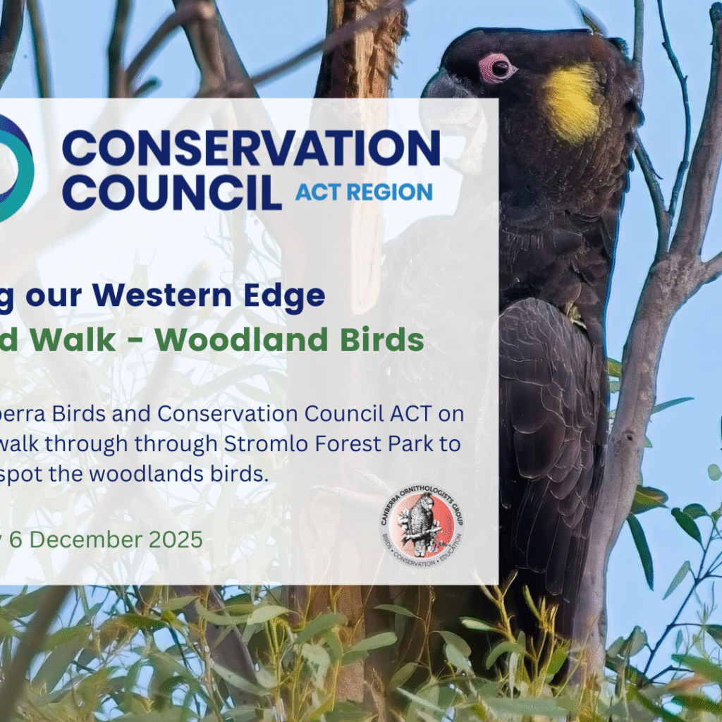 Western Edge Guided Walk: Woodland Birds - 2XXfm 98.3